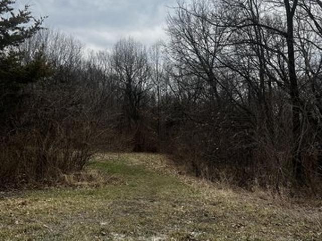 312th, Danville, IA 52623