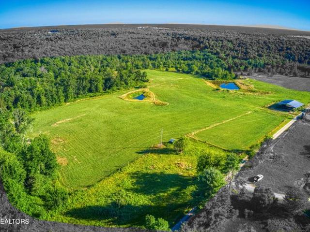 312 Ernie Hurst Rd, Deer Lodge, TN 37726