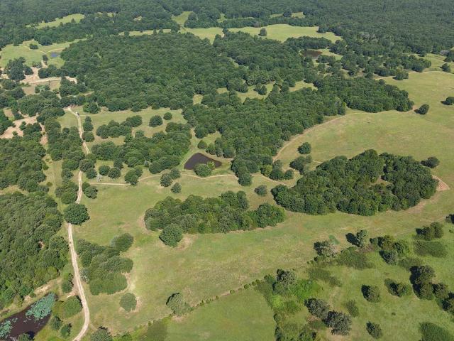 312 Jackson County Road 2