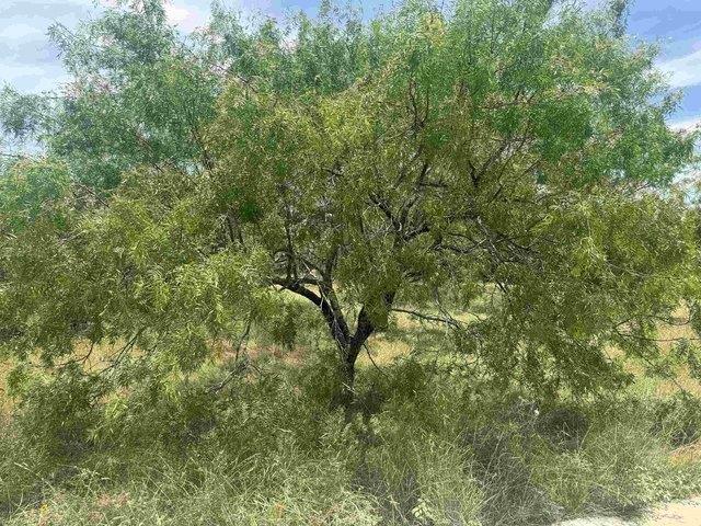 312 Lakawana, Horseshoe Bay, TX 78657
