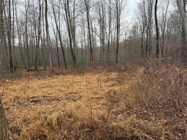 312 Merrow Road, Tolland, US, CT