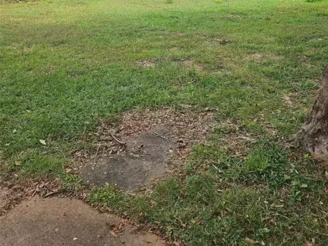 312 S PANAMA ST, MONTGOMERY, AL 36107