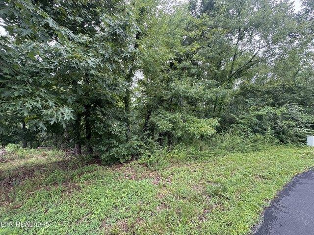312 Skiatook Cir, Loudon, TN 37774
