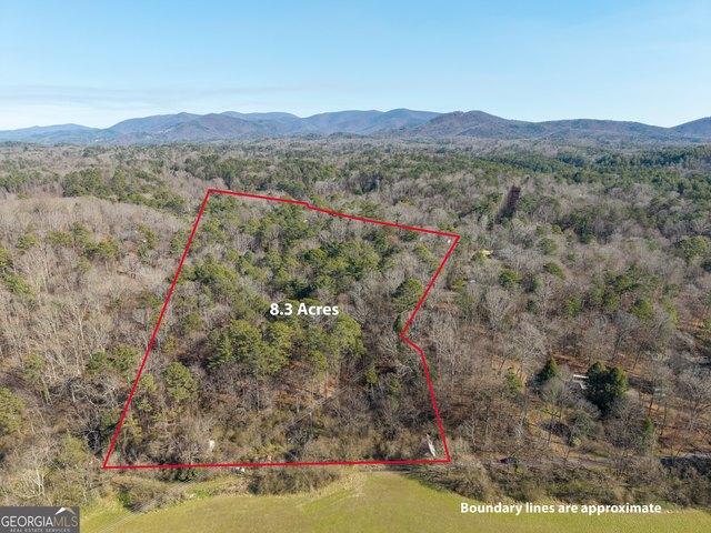 312 Parks Ave, Ellijay, GA 30540