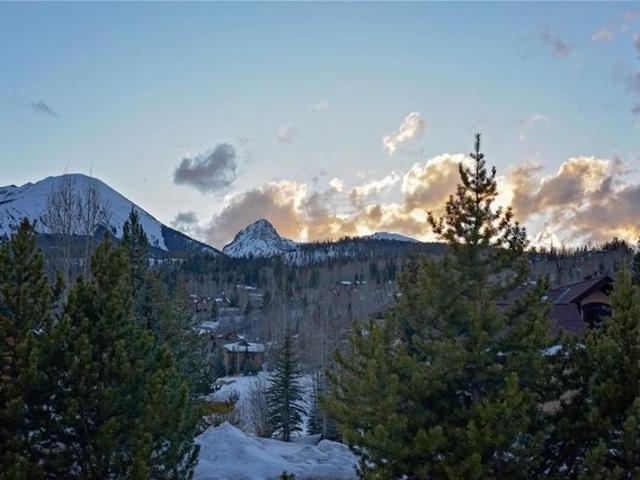 312 Red Hawk Cir, Silverthorne, CO 80498