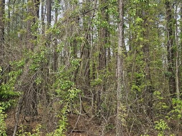 312 Teel Dr, Durham, NC 27704