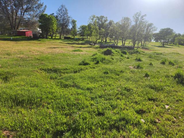 3134 Canoe St, Copperopolis, CA 95228 | MLS #226032