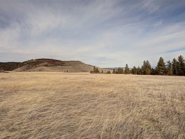 31365 Walking Horse Ln, Big Arm, MT 59910