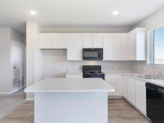 3136 Plumbago