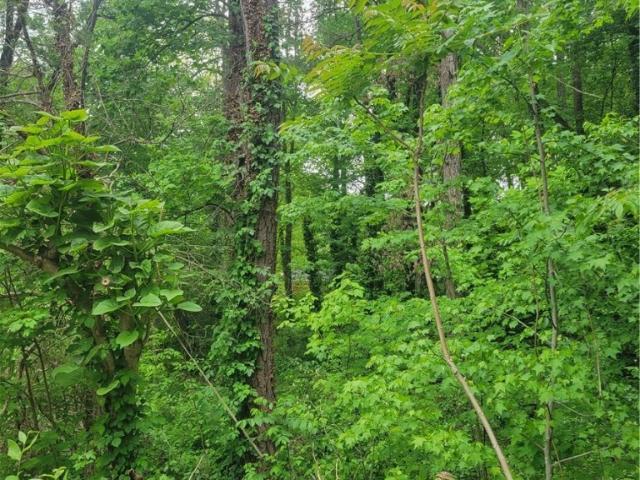 3136 Turner Rd, Chesterfield, VA 23832 | MLS #2610 | Compass