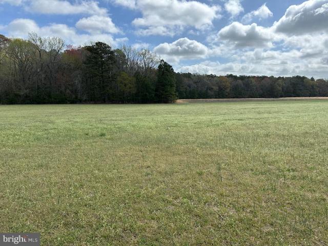 31379 Boggs Road