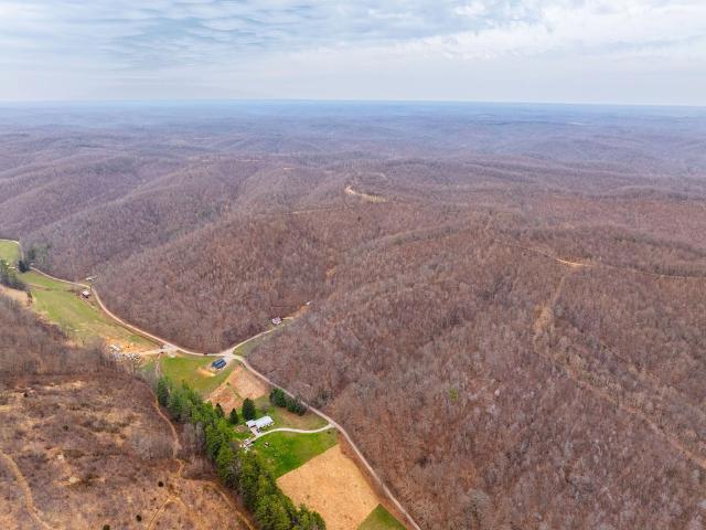 31382 Stevens Branch Rd