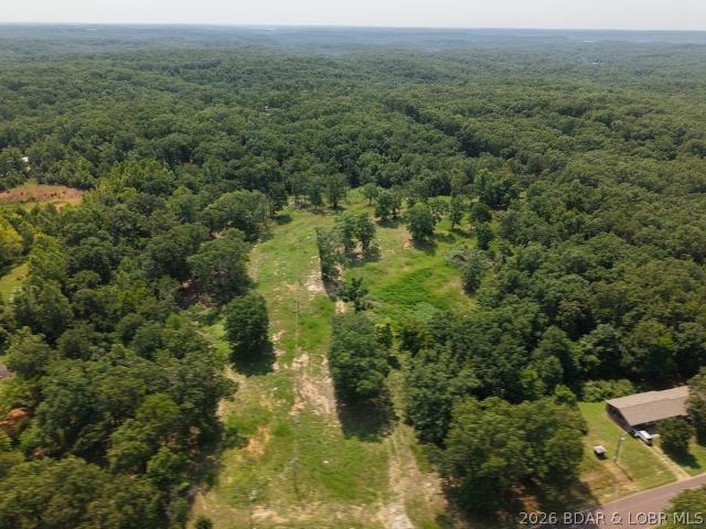 31385 Cup Tree Drive