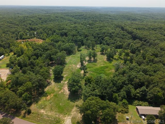 31385 Cup Tree Drive