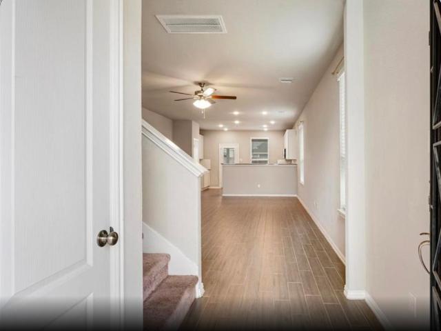 31314 Spotted Saddle Hollow