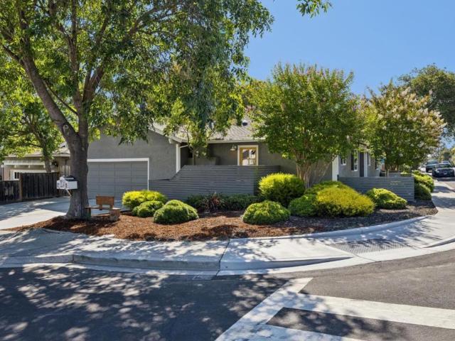 3131 Alameda De Las Pulgas
