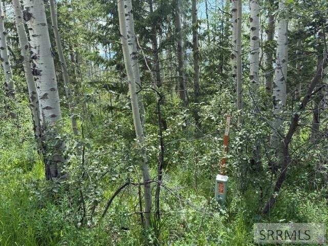 3131 Canyon Crest Dr, Victor, ID 83455