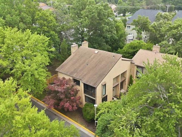 3131 Guysborough Drive