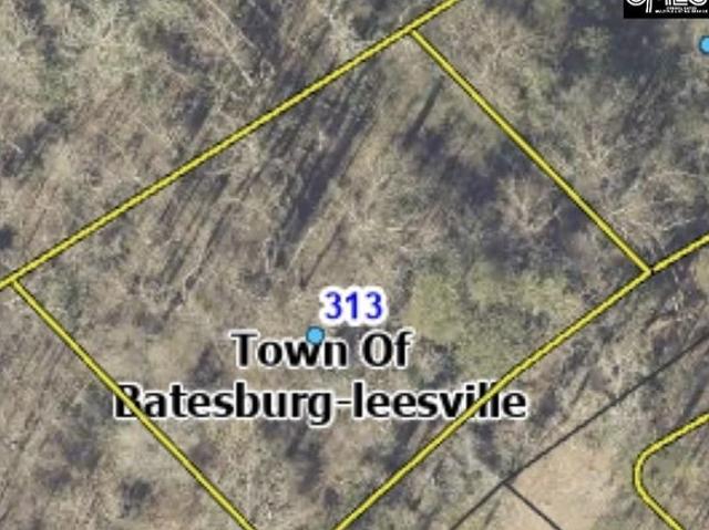 313 Chesterfield Ct, Leesville, SC 29070