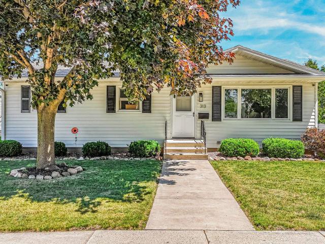 313 gertrude avenue