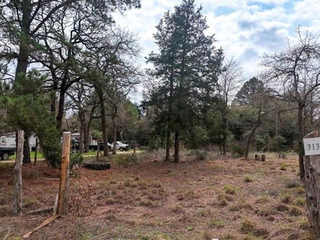 313 Dogwood Dr, Caldwell, TX 77836