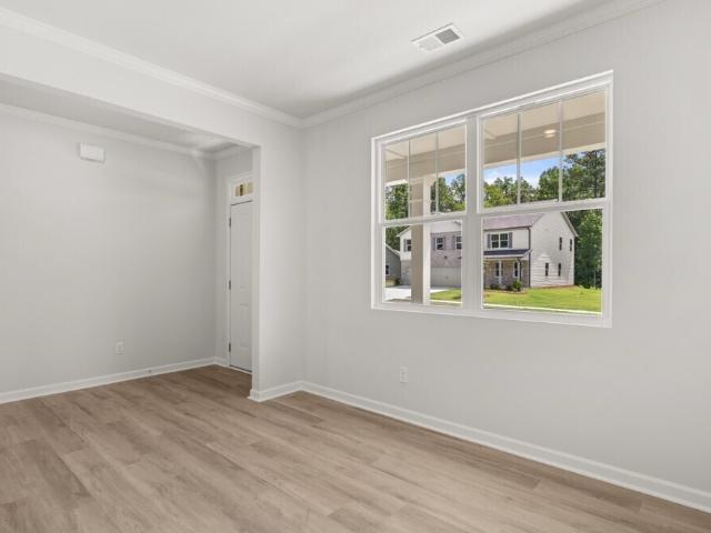 313 Duckweed Drive