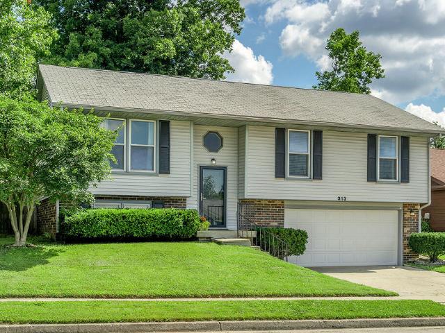 313 Fox Harbour Drive