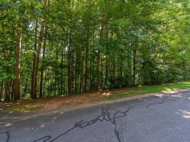 313 Laurel Valley Way