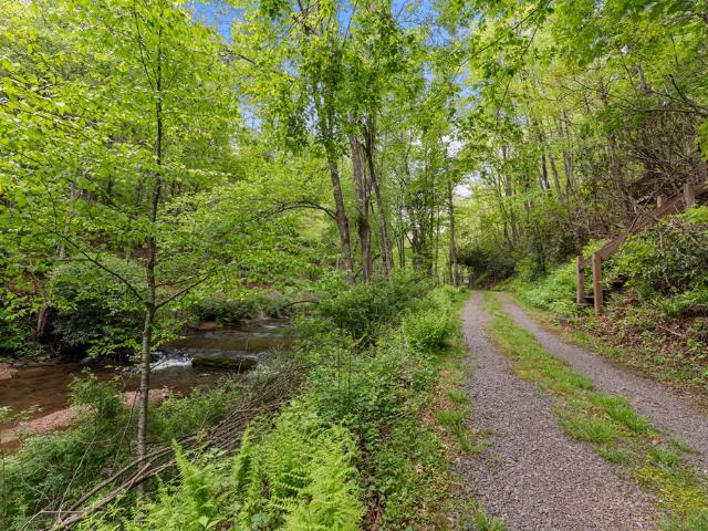 313 Little Reed Acres Ln