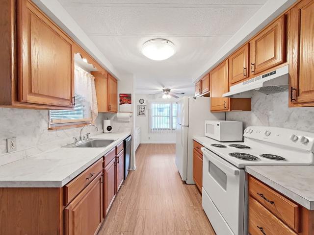 313 Sago Palm Street, LARGO, US, FL