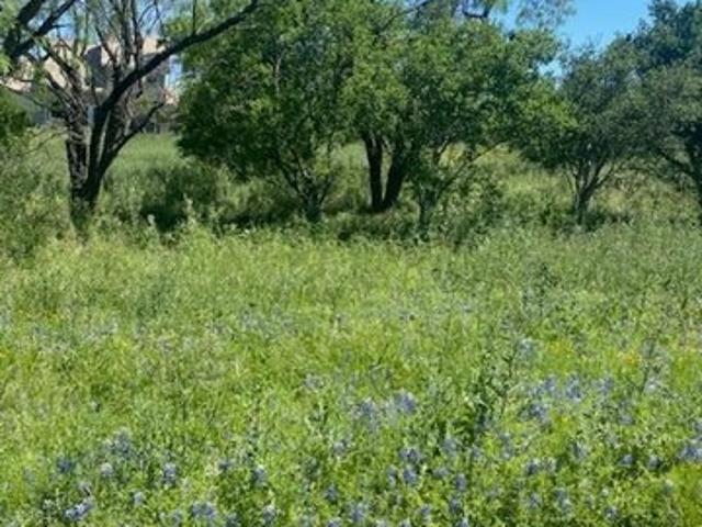 313 Sweet Grass, Horseshoe Bay, TX 78657