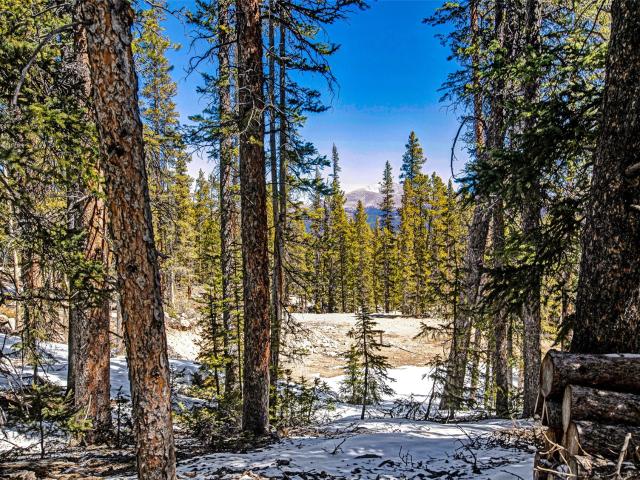 313 Porcupine Rd, Fairplay, CO 80440 | MLS #S1068