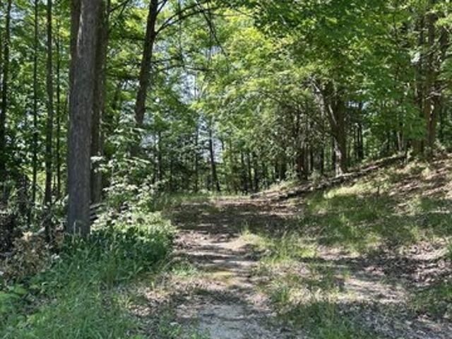 313 W Spruce St E, Big Rapids, MI 49307
