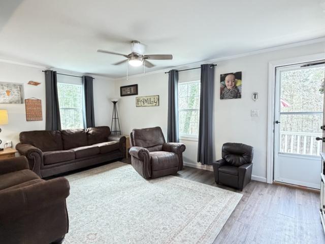 313 Waynick Rd, Gainesboro, TN 38562 | MLS #3244