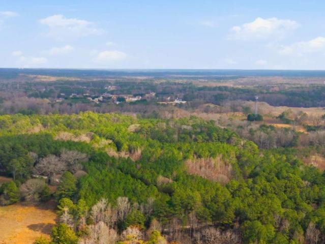 313 Wagon Wheel Trail