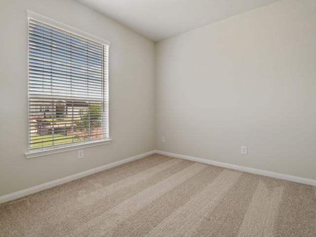 313 Tejas Trail