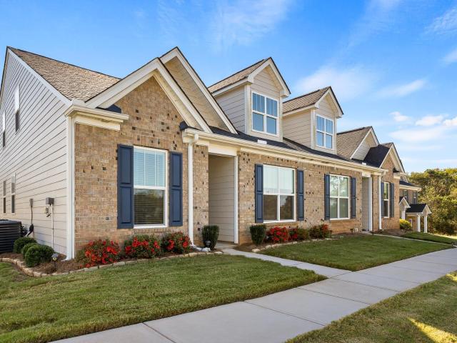 313 Village Boundary