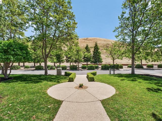 3146 Blackhawk Meadow Drive