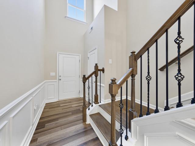 3146 Zebroid Way