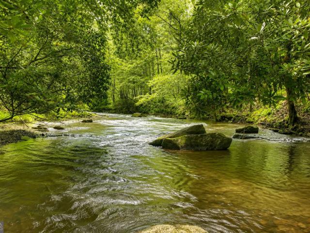 3149 Big Creek Road