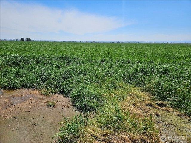 314184 Highway 281, Quincy, WA 98848