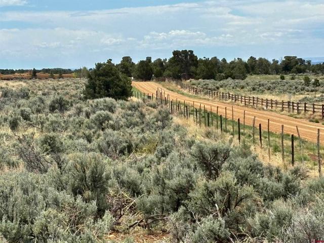 3141 County Road 130, Hesperus, CO 81326 | MLS #814074 | Compass