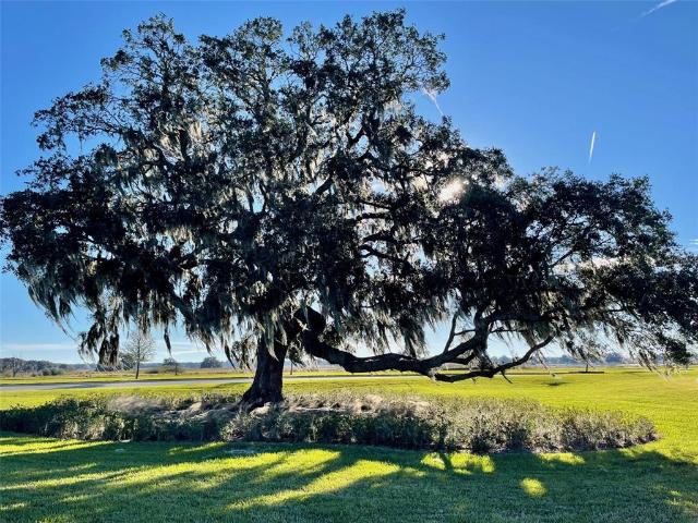 31426 Mango Fade Way, San Antonio, FL 33576 | MLS #TB8521