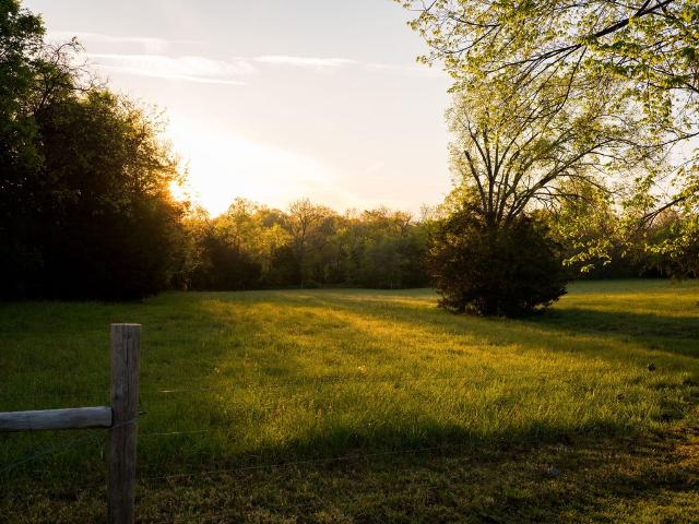 314 Bethlehem Church Rd, Shelbyville, TN 37160 | MLS #3178