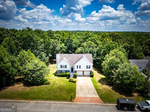 314 Black Willow Court