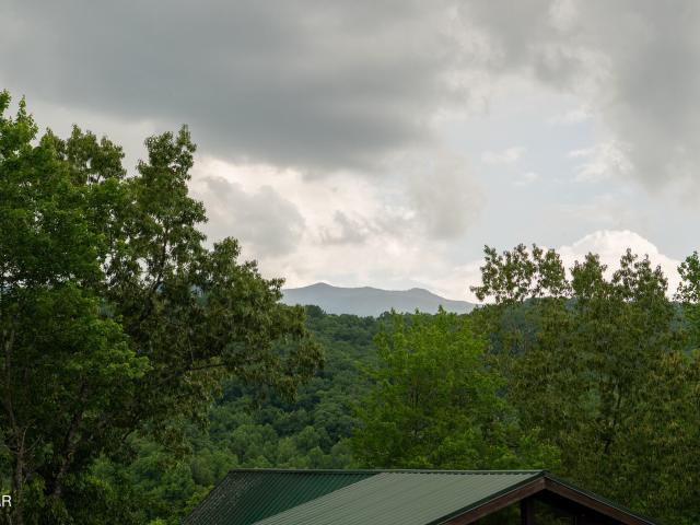314 Brown Wren Way