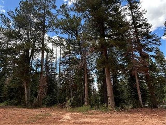 314 E Toboggan Cir, Brian Head, UT 84719