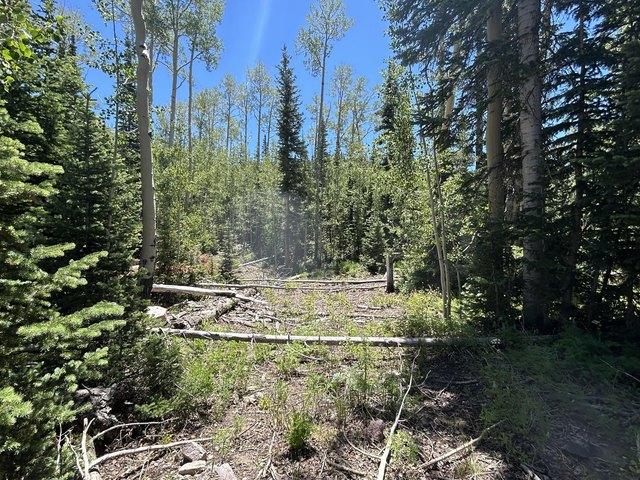314 E Toboggan Cir Lot 15, Brian Head, UT 84719