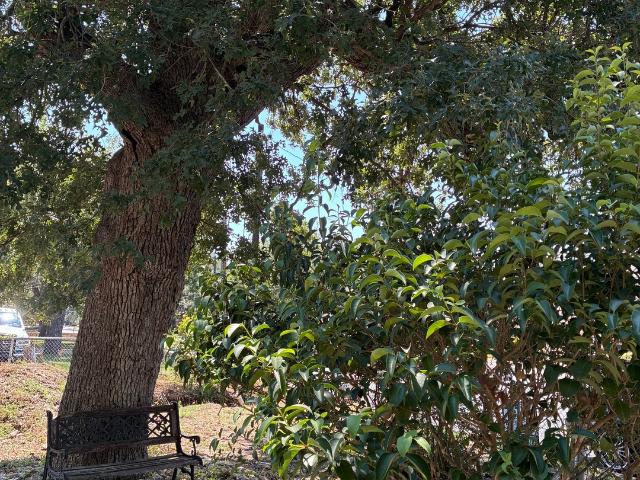314 E Bandera Rd, Boerne, TX 78006 | MLS #1953