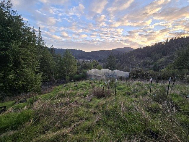 314 Oakcrest Dr, Benbow, CA 95542